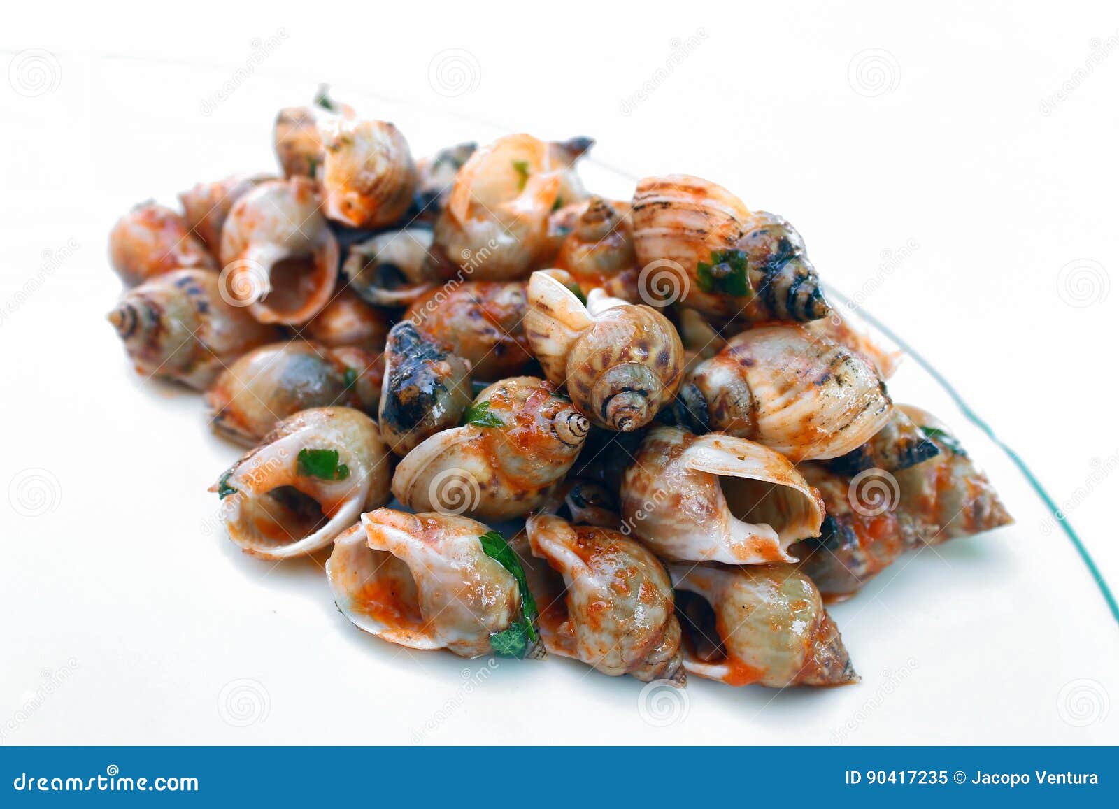 Caracoles de mar aislados imagen de archivo. Imagen de blanco - 90417235