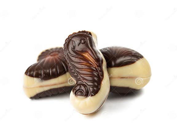 Caramelo De Chocolate De Los Mariscos Imagen de archivo - Imagen de ...