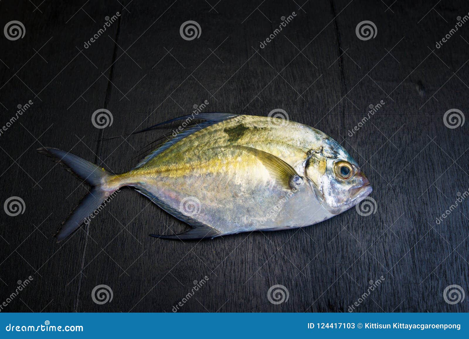 Caranx fish on black stock image. Image of delicious - 124417103