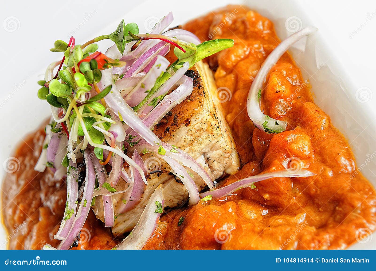 Carapulcra stock photo. Image of south, traditional - 104814914