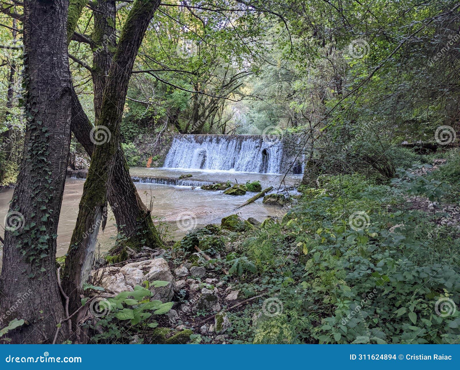 River Valley Path through Romanian Virgin Forest Stock Photo - Image of ...