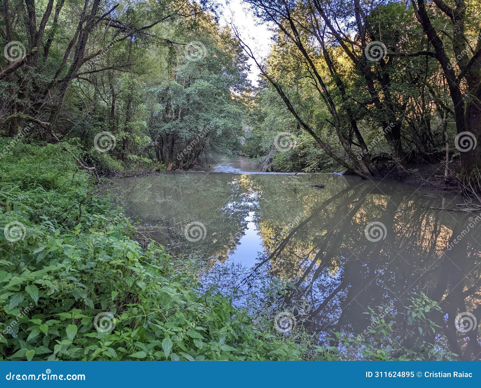 River Valley Path through Romanian Virgin Forest Stock Image - Image of ...