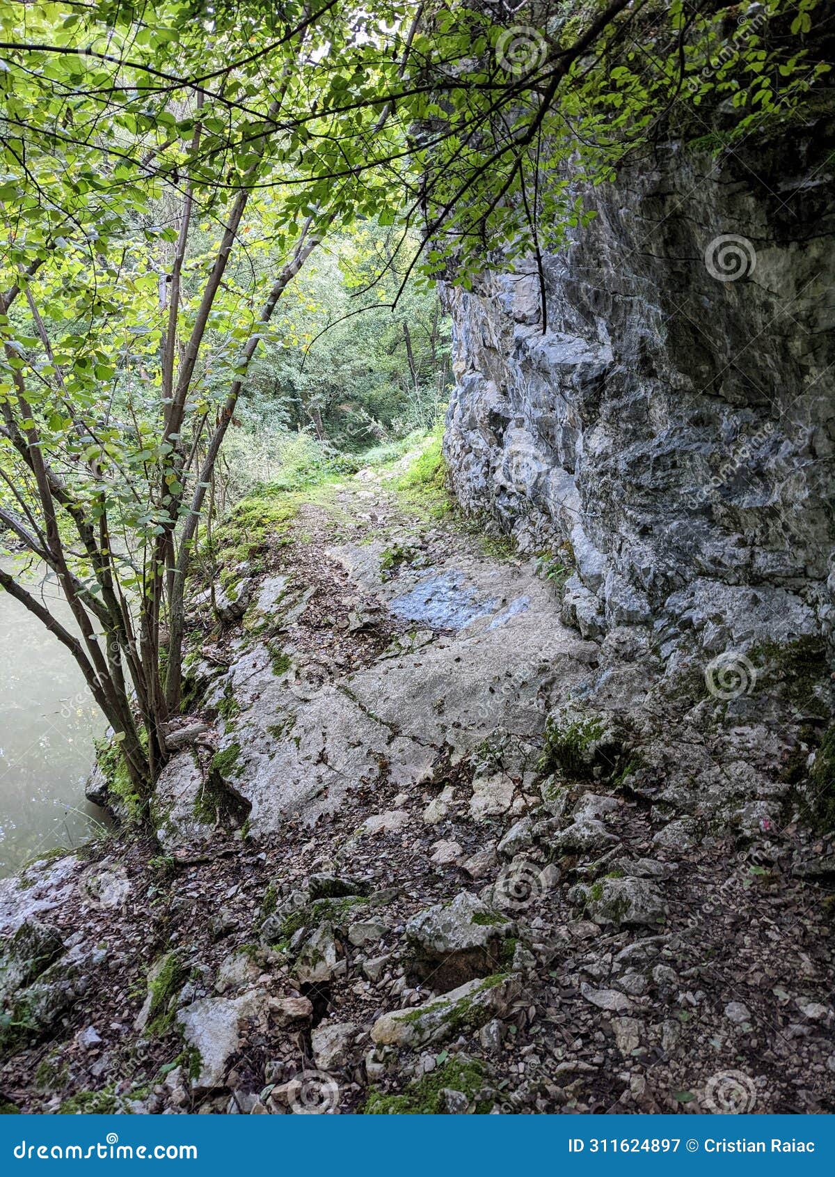 River Valley Path through Romanian Virgin Forest Stock Image - Image of ...