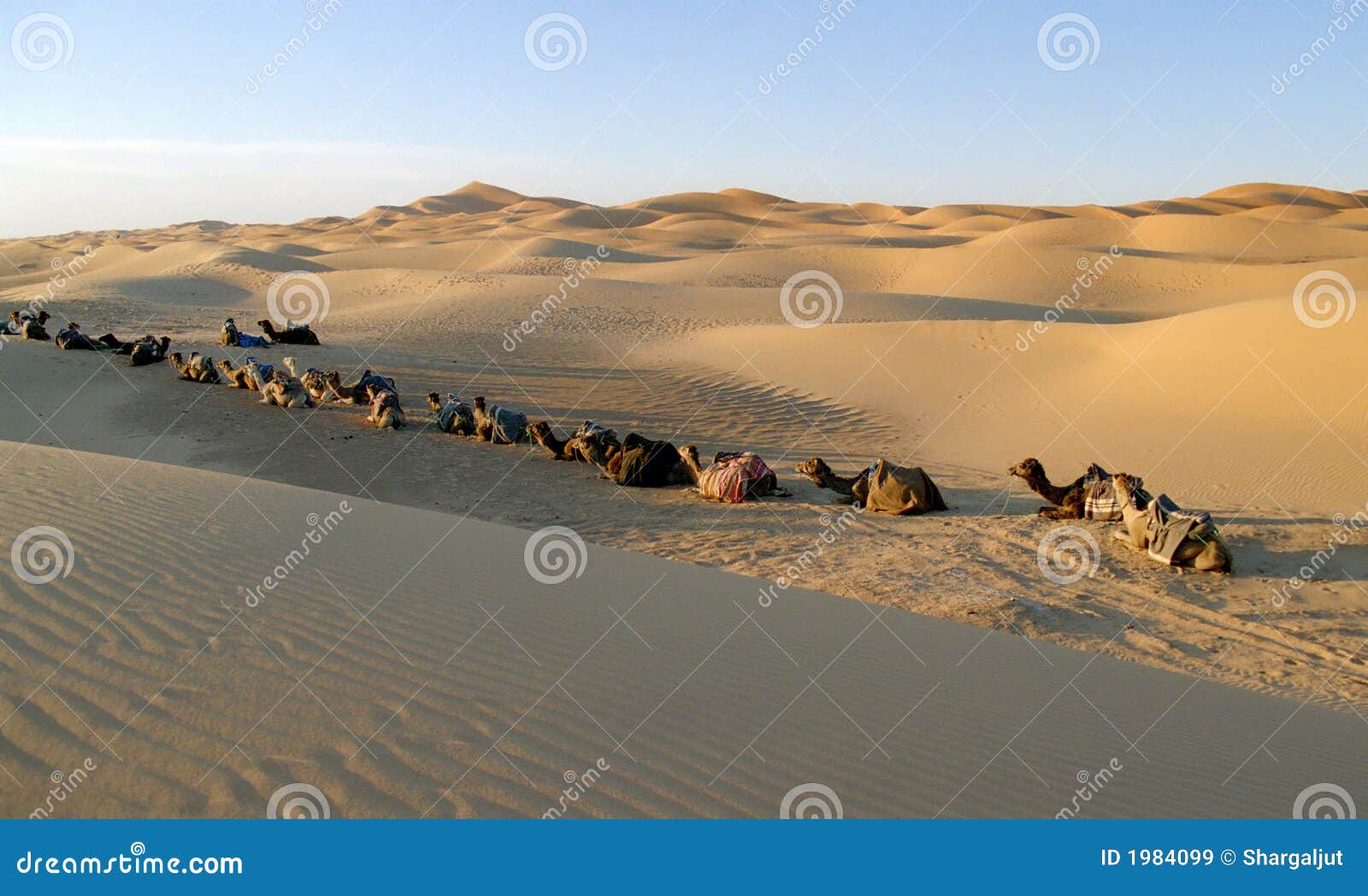 141 Reposal Photos - Free & Royalty-Free Stock Photos from Dreamstime