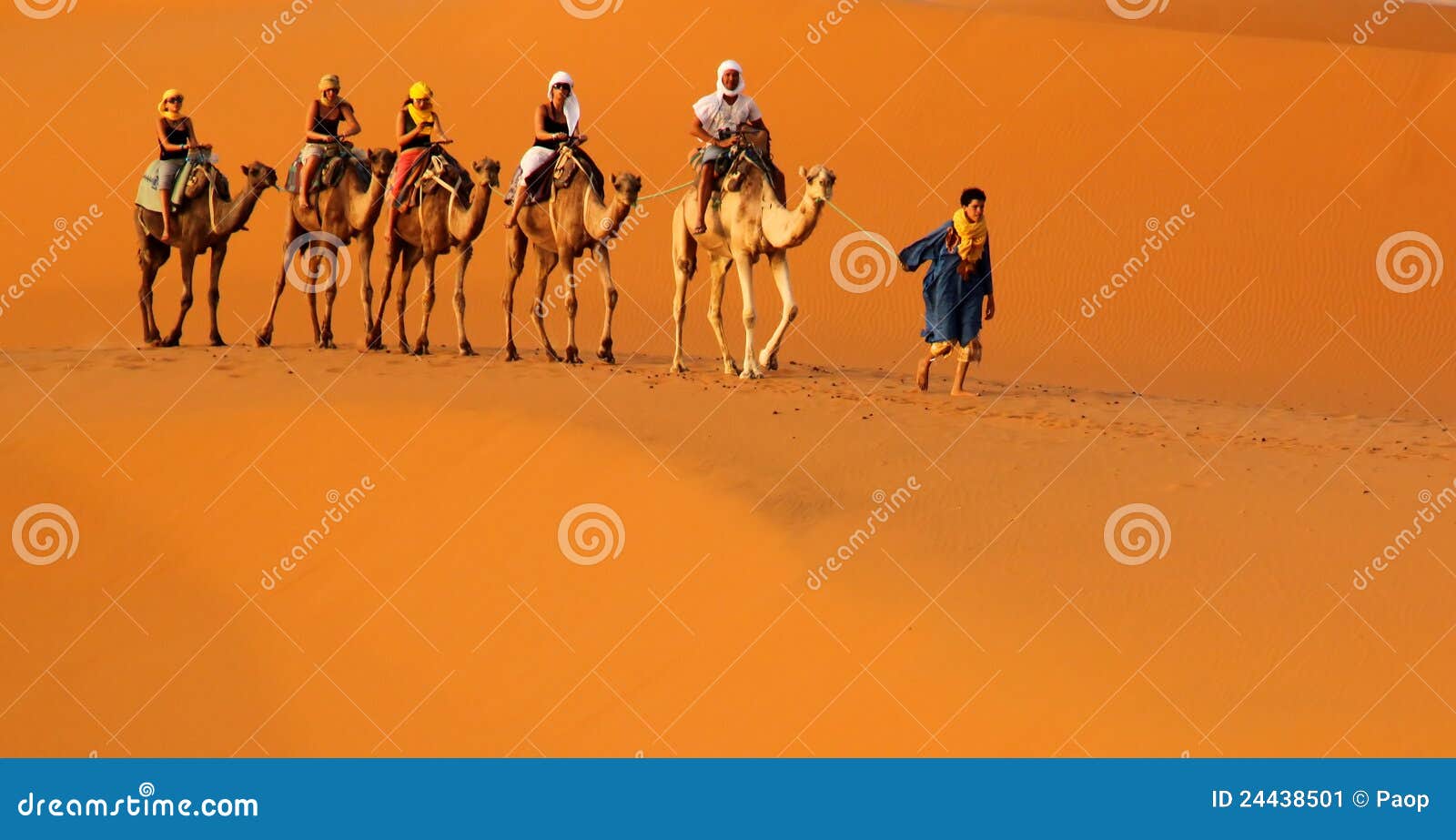 Arab Man On A Caravan Of Camels Rides Along The Beach. Arabian Sea ...