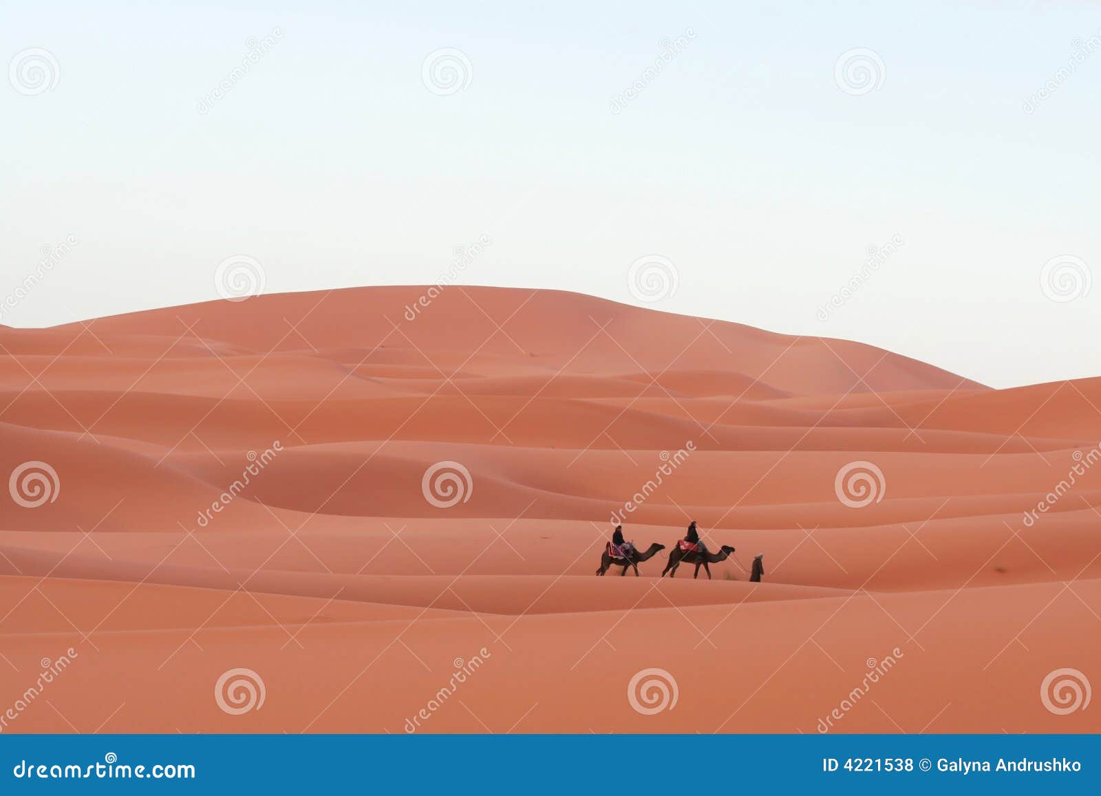 Caravan stock photo. Image of africa, safari, dune, person - 4221538