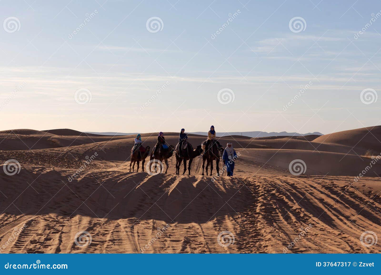 Caravan Crossing in Sahara Desert, Morocco Editorial Photography ...