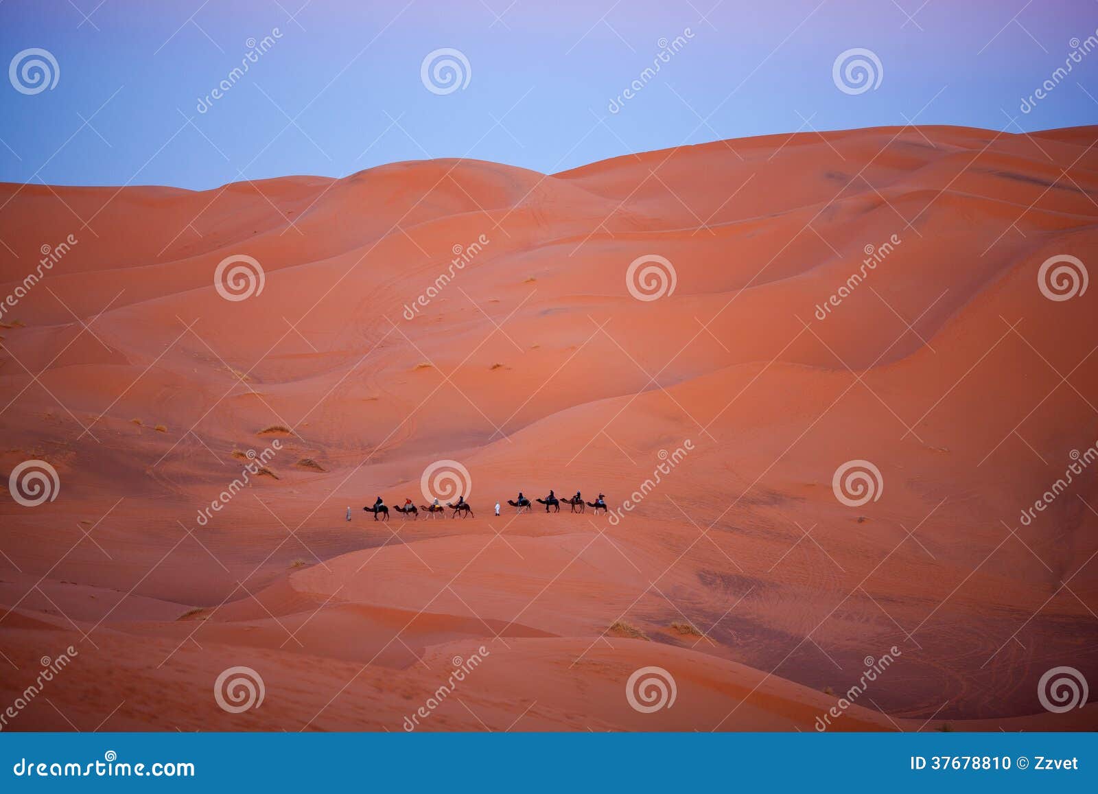 Caravan Crossing in Sahara Desert, Morocco Editorial Image - Image of ...