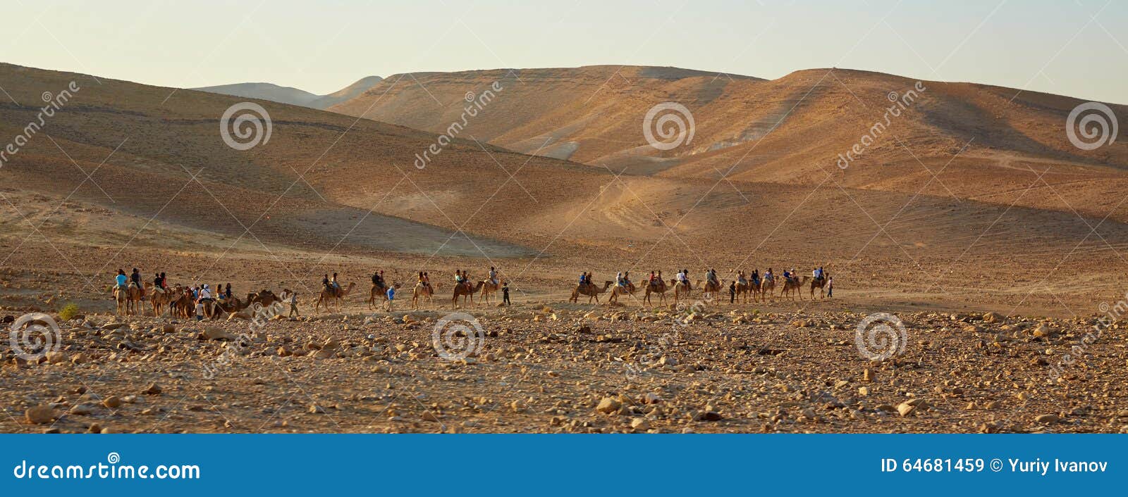 Caravan in the Desert, Israel Stock Image - Image of nature, kings ...