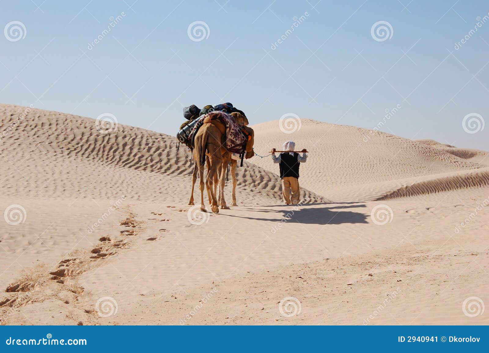 Caravan in desert Sahara stock image. Image of star, desolate - 2940941