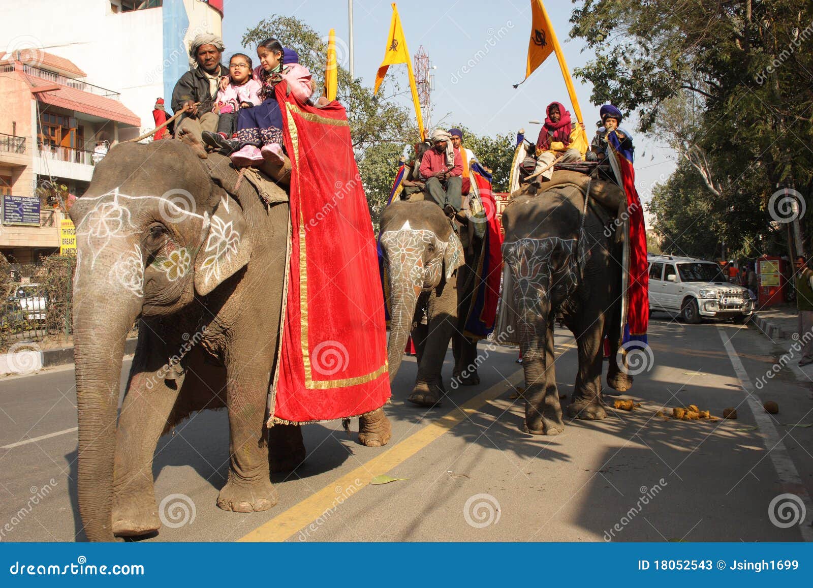 Caravan of elephants editorial stock photo. Image of flag - 18052543
