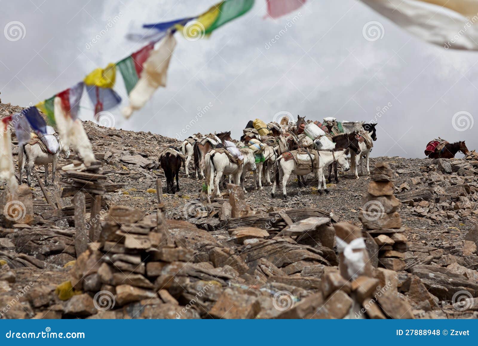 Caravan at the pass stock photo. Image of national, nomads - 27888948