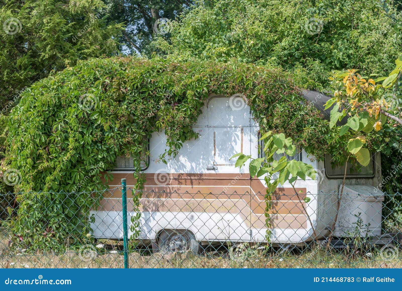 Grown caravan in a garden stock image. Image of outdoors - 214468783