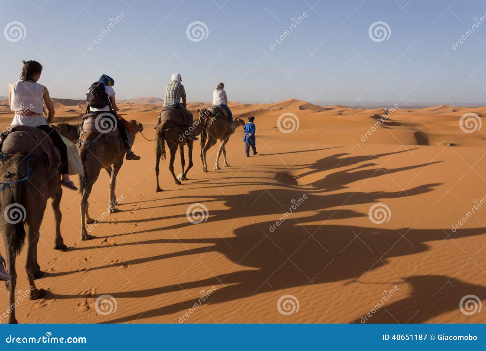 Caravan on Sahara editorial photography. Image of wild - 40651187
