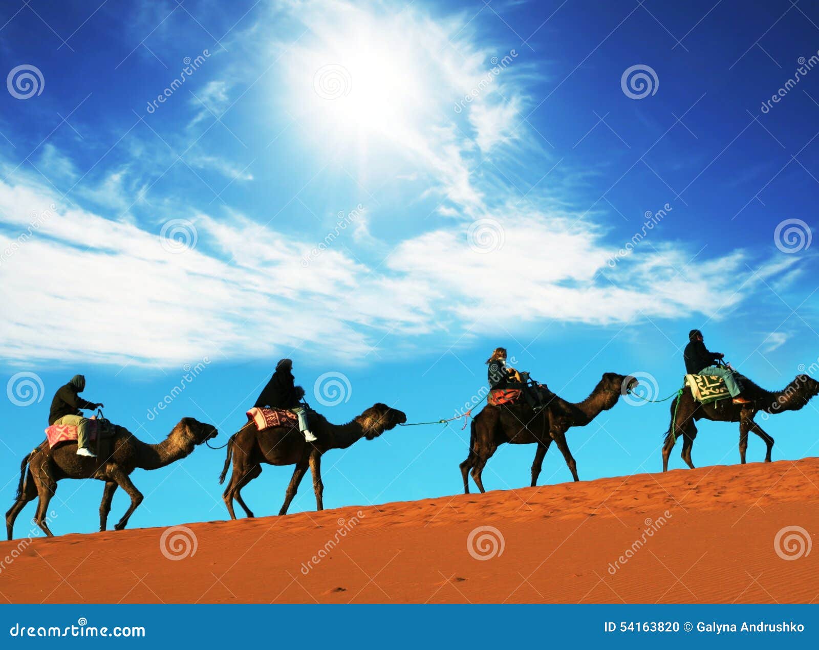 Caravan editorial image. Image of desert, sahara, lonely - 54163820
