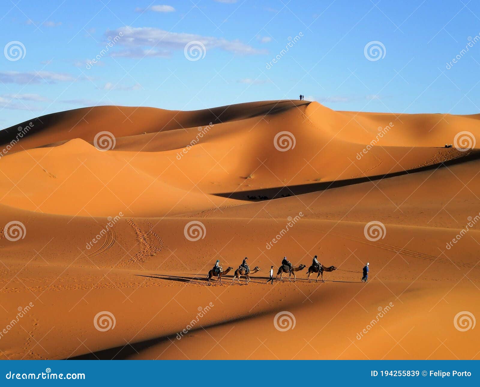 Caravan in Sahara Desert, Morocco Stock Image - Image of beleza ...