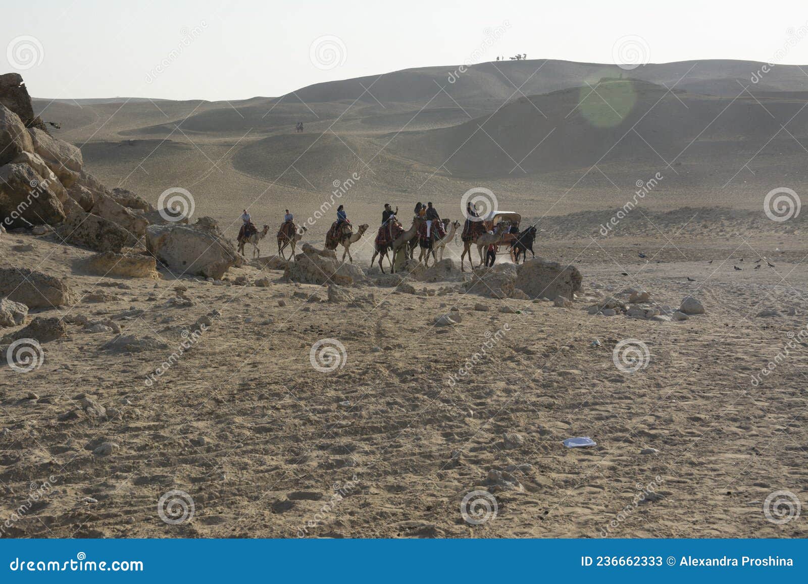 Caravan with Tourists in the Egyptian Desert Editorial Stock Photo ...