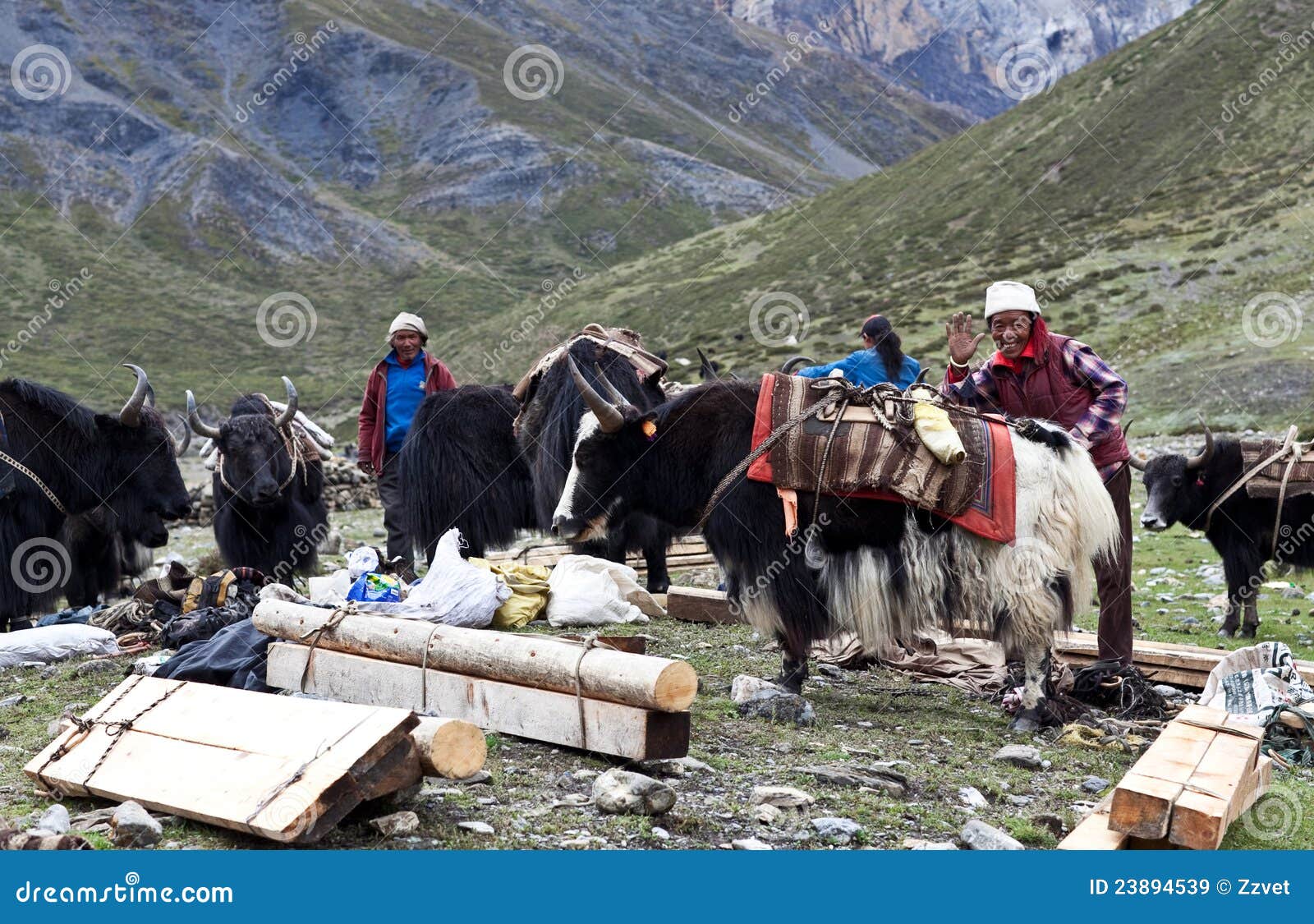 Caravan of yaks, Nepal editorial stock image. Image of middleage - 23894539
