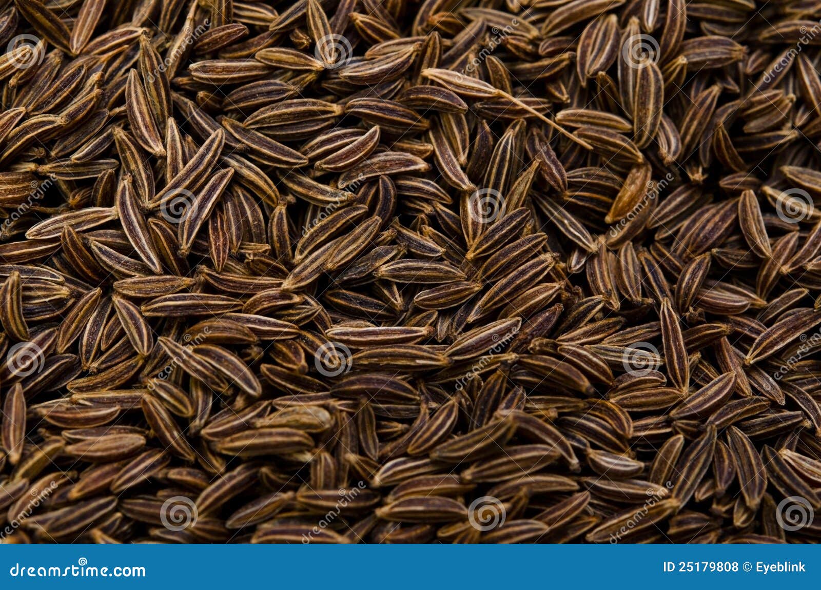 Caraway stock photo. Image of healthy, eating, carvi - 25179808