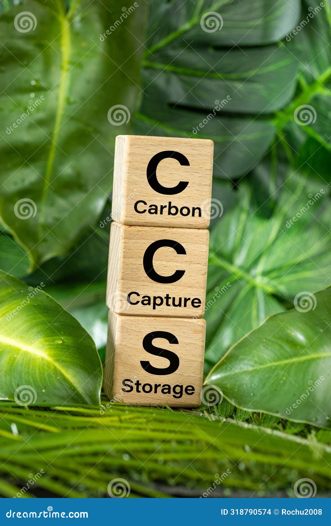 Carbon Capture and Storage CCS . Reducing Carbon Emissions, Commitment ...