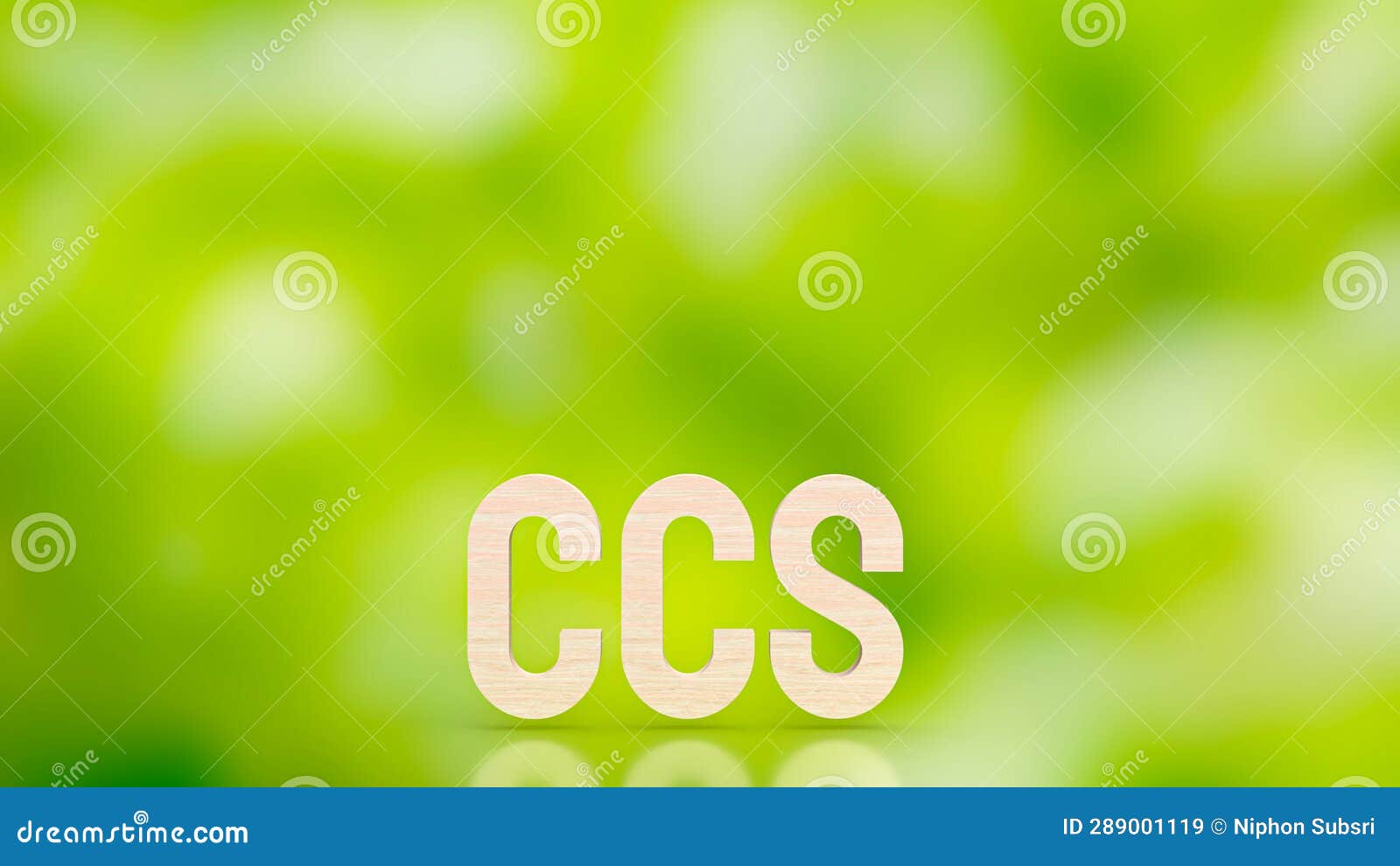 The Ccs Mean Carbon Capture and Storage for Technology or Eco Concept ...