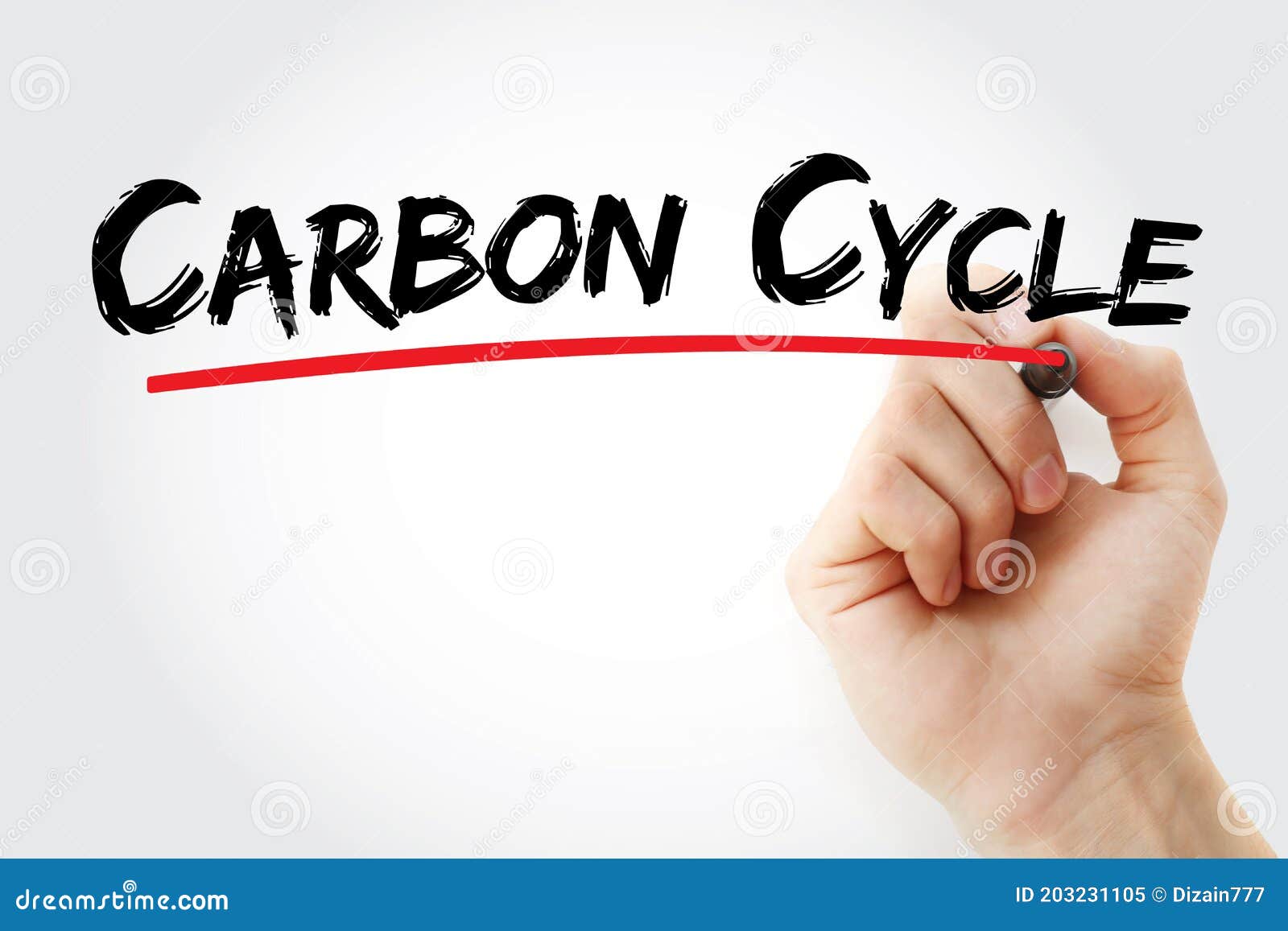 Carbon Cycle Text With Marker Royalty-Free Stock Photography ...