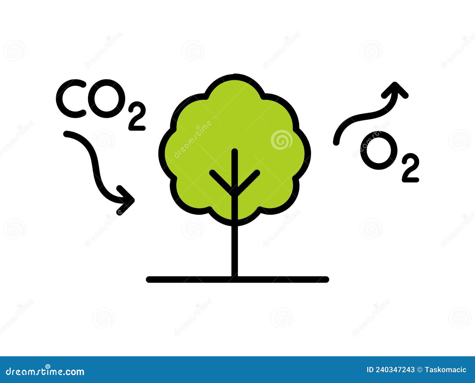 Carbon Cycle. Tree Absorbs CO2 and Releases O2. Photosynthesis Process ... Carbon Cycle. Tree Absorbs CO2 and Releases O2. Photosynthesis Process ...