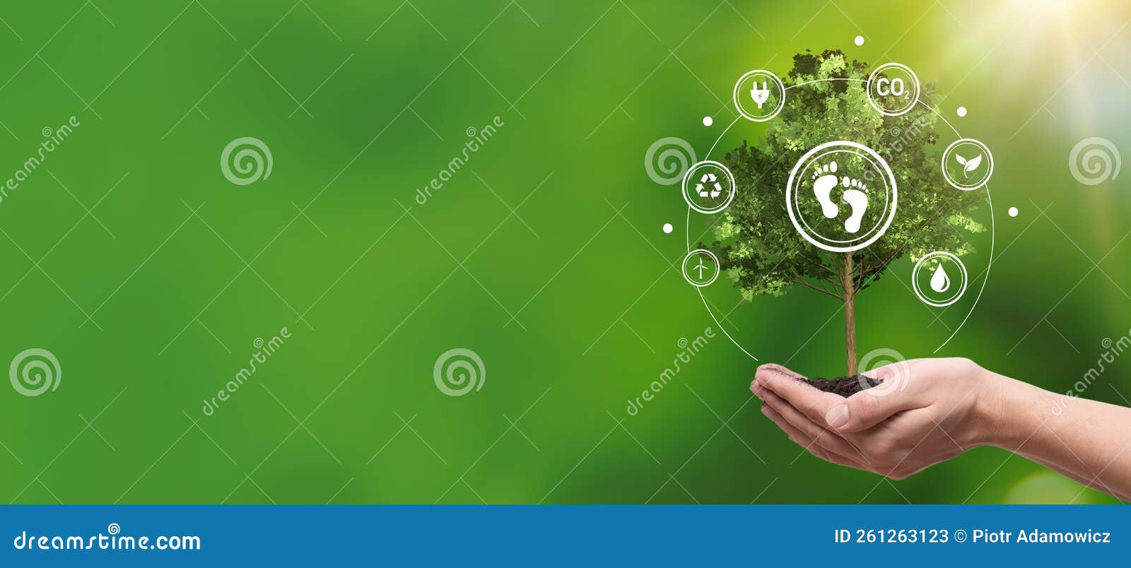 Carbon Footprint Concept with Tree on Hand Stock Image - Image of icon ...