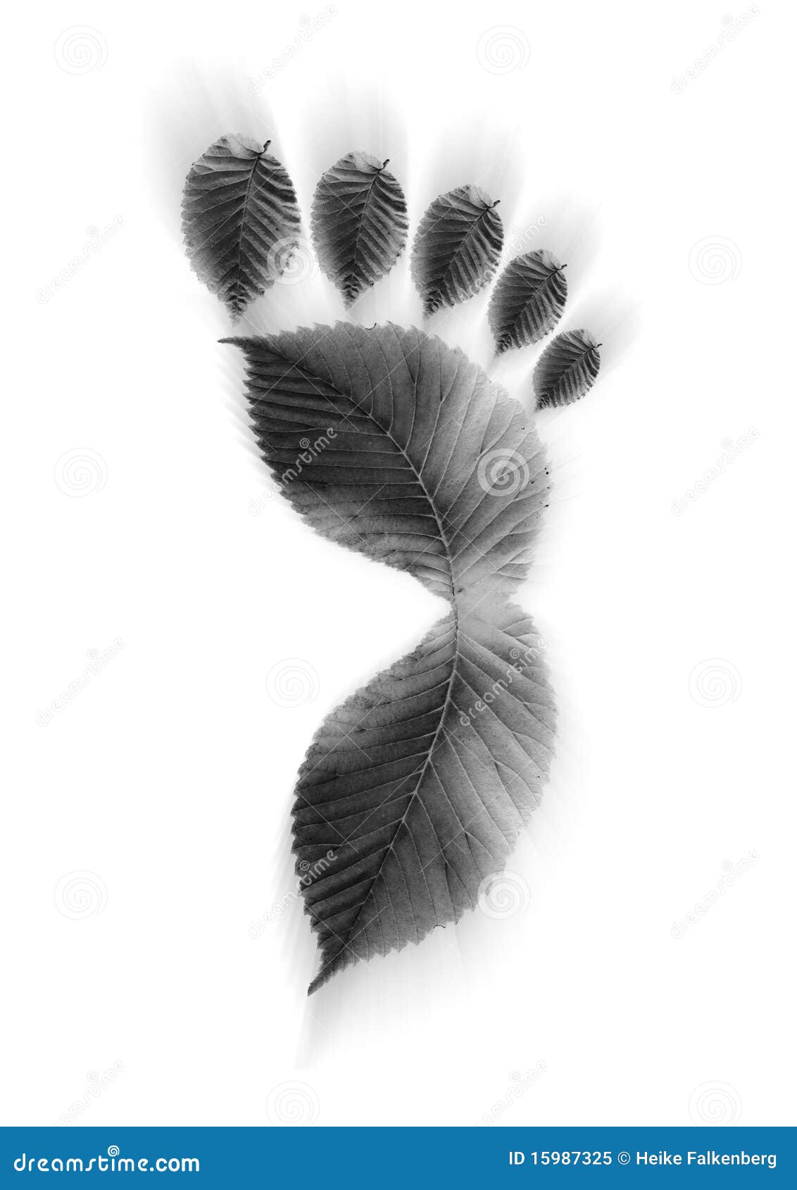 Carbon Leaf Footprint stock image. Image of carbon, energy - 15987325