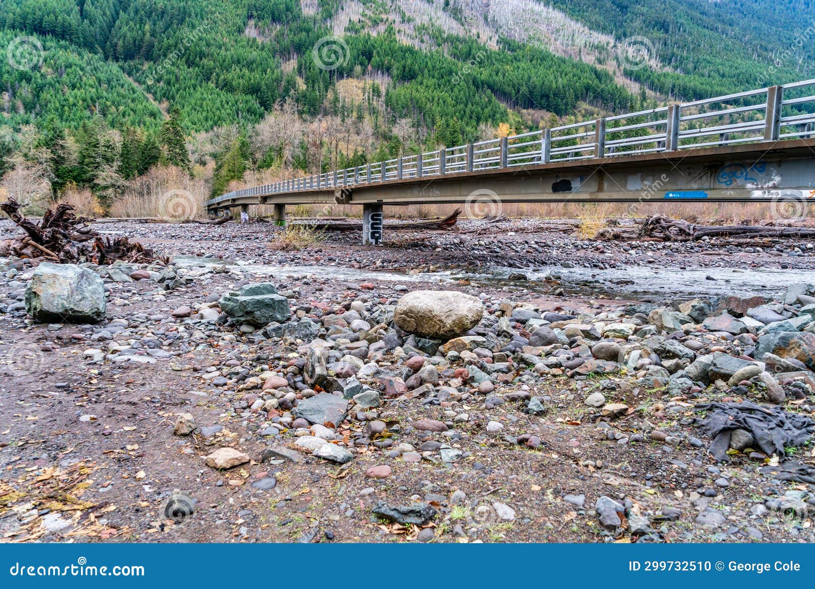 Carbon River Highqy Bridge stock photo. Image of washington - 299732510