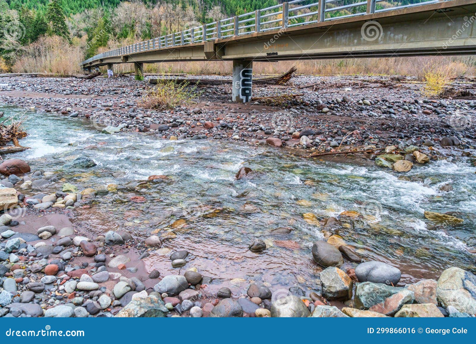Carbon River Highqy Bridge 2 Stock Photo - Image of travel, recreation ...