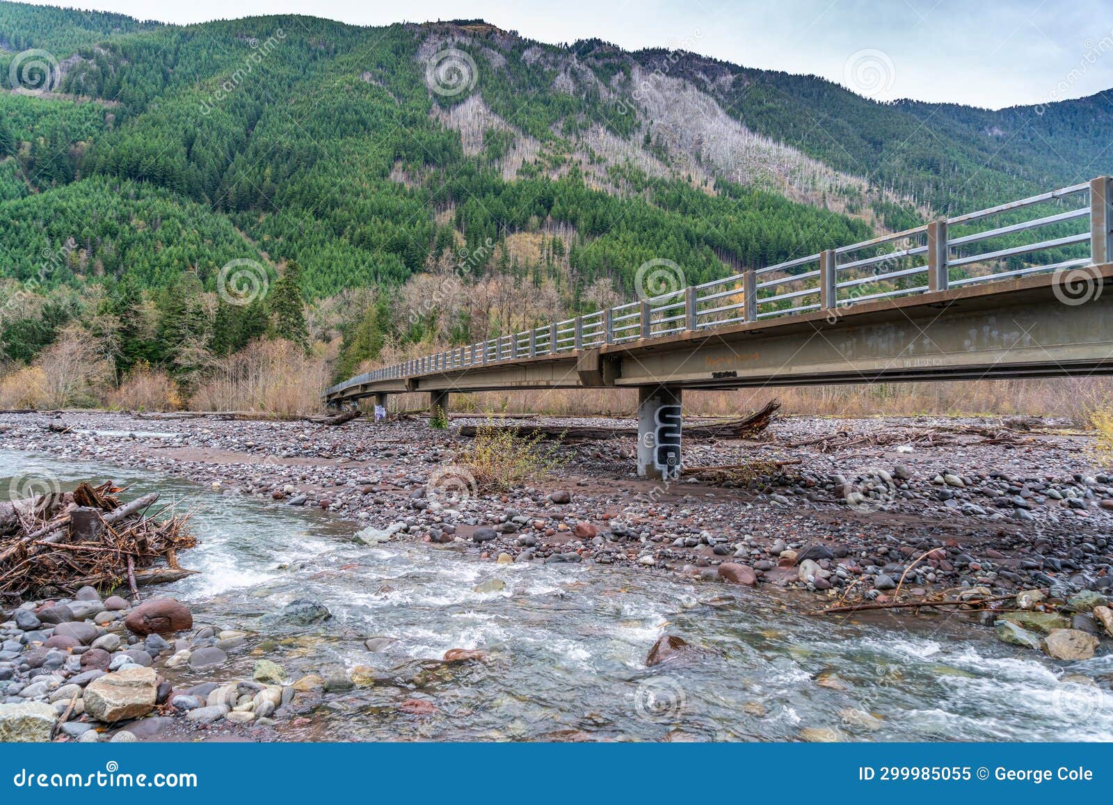 Carbon River Highqy Bridge 3 Stock Image - Image of scenic, state ...