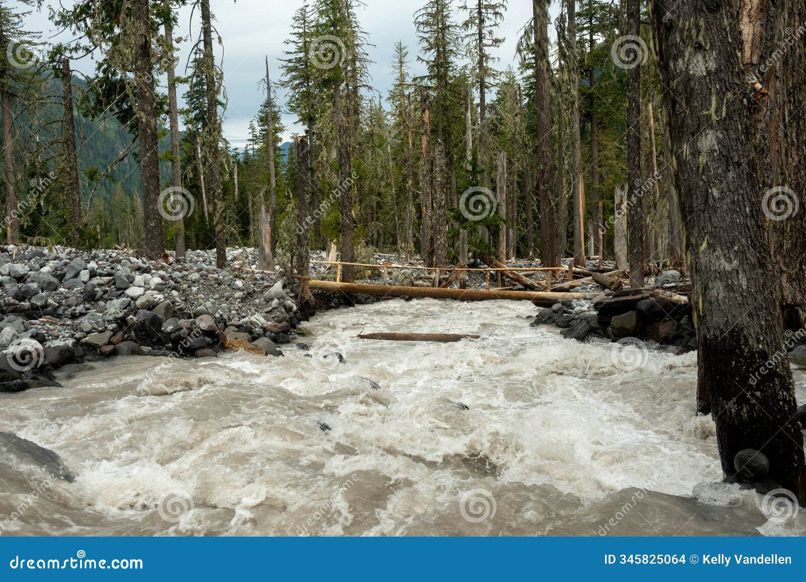 Carbon River Rushes Under Newly Installed Log Bridge in Summer Stock ...