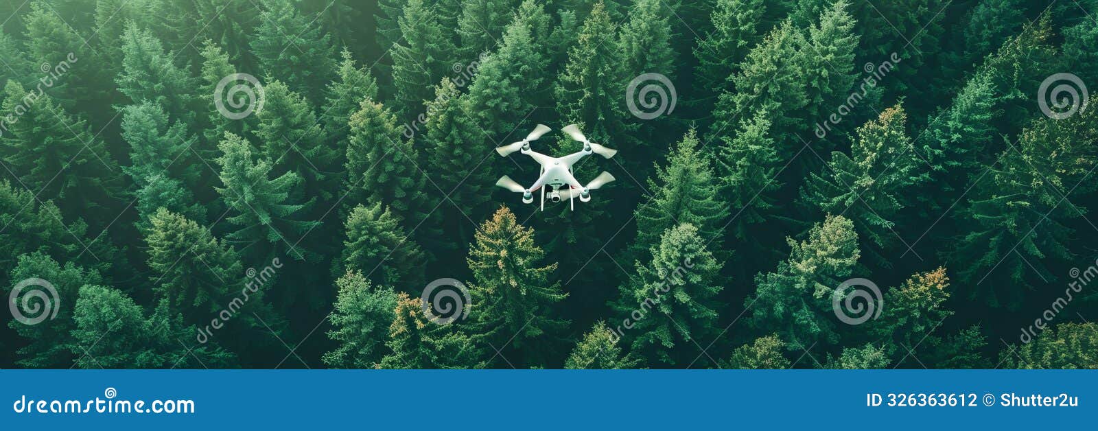 Carbon Sequestration Projects in a Forest Planting Trees To Capture CO2 ... Carbon Sequestration Projects in a Forest Planting Trees To Capture CO2 ...
