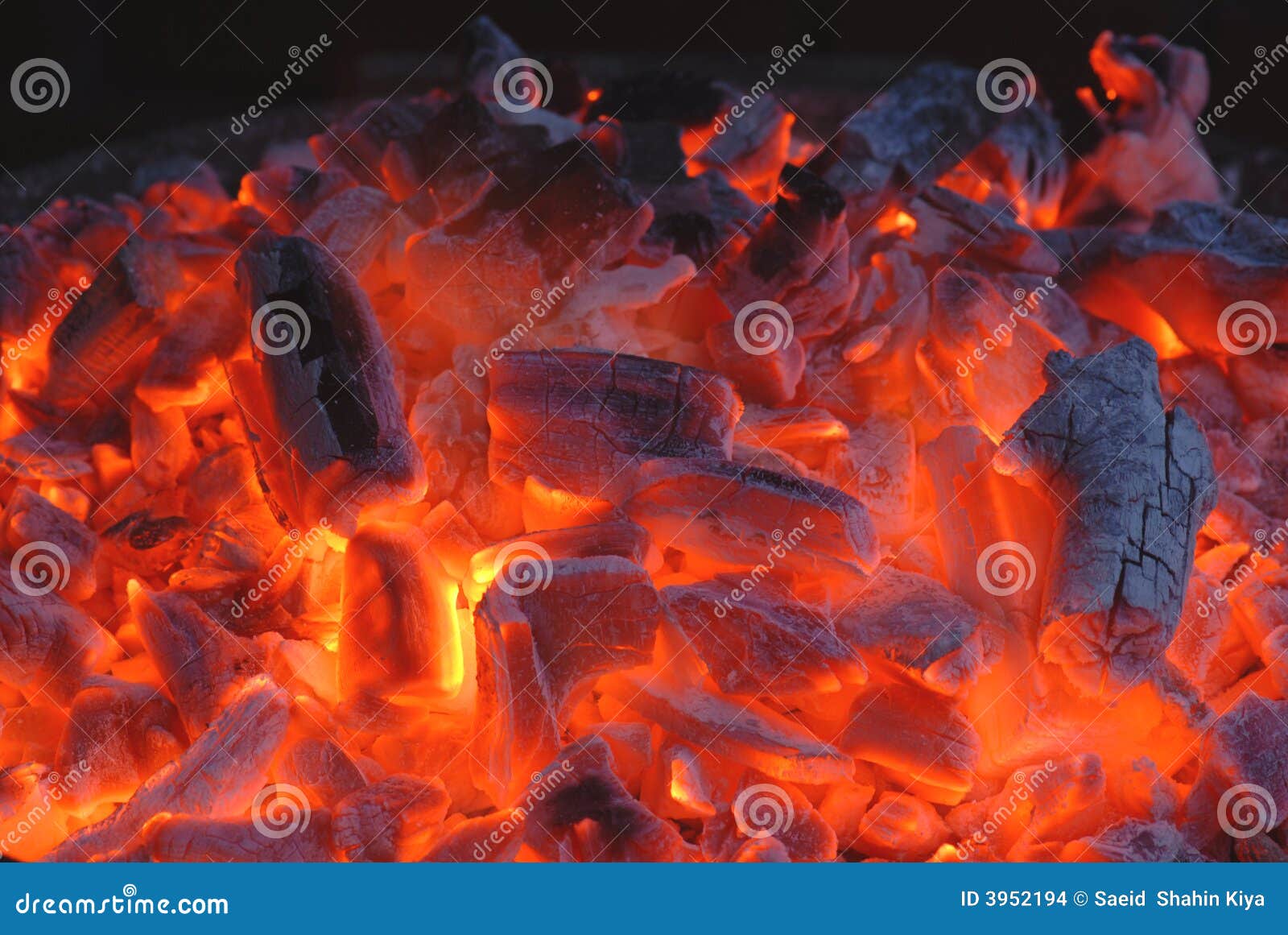 Carbone Burning fotografia stock. Immagine di ardente - 3952194