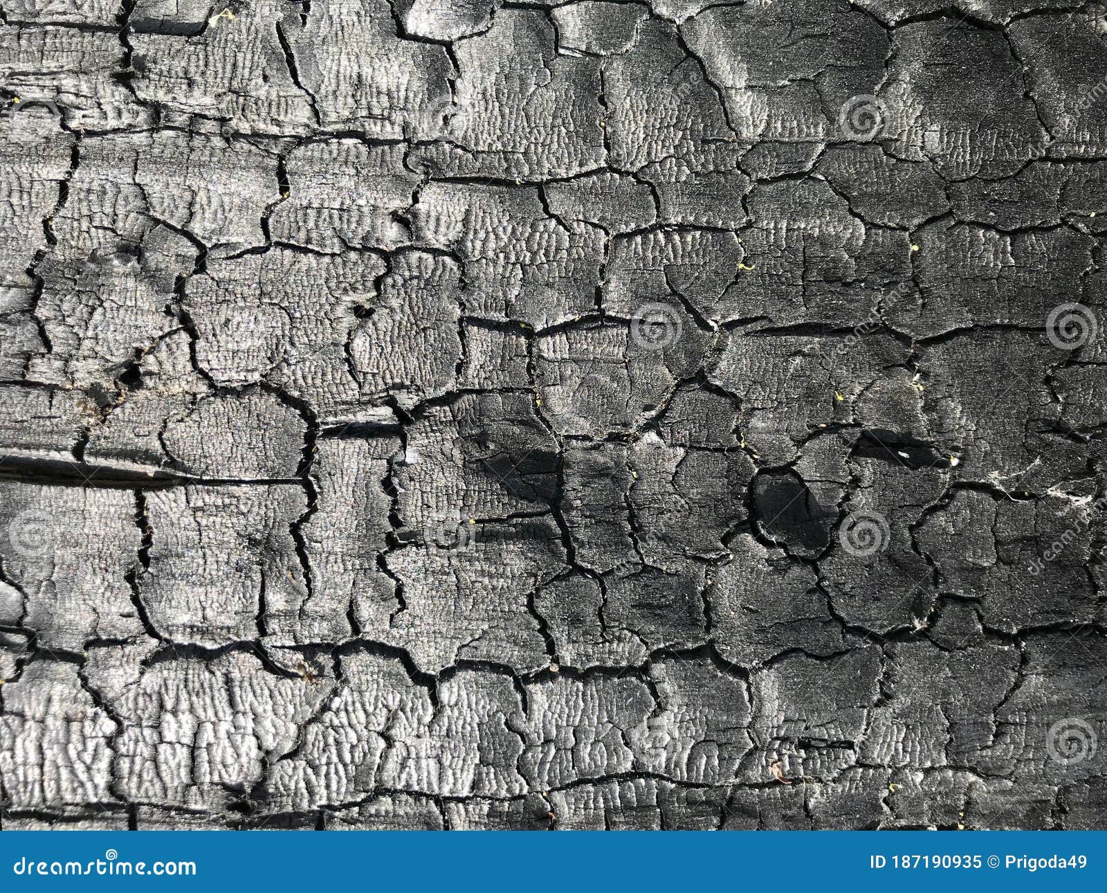 Carbonized Wood Surface with a Clear Structure. Stock Image - Image of ...