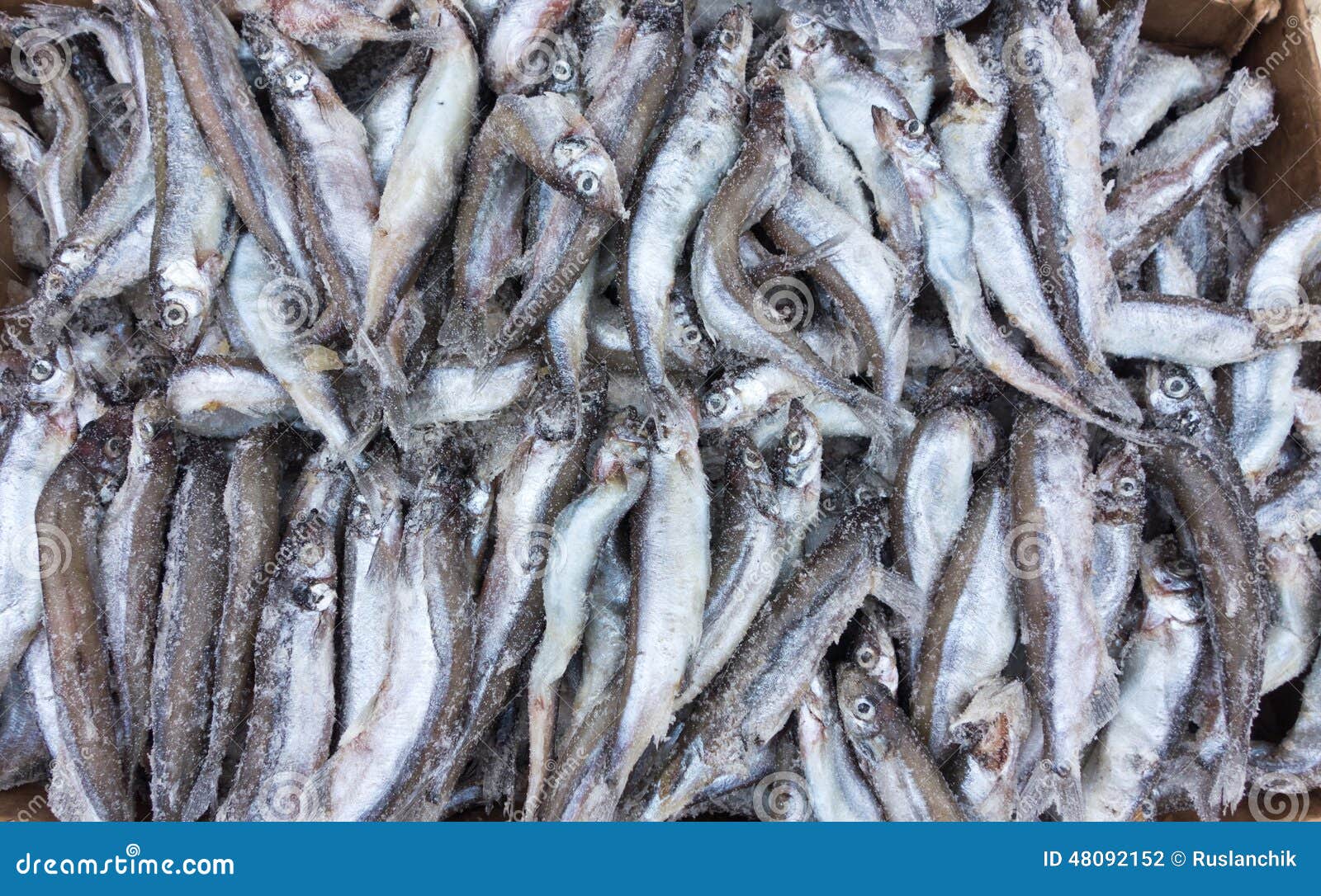 Carcass fish stock photo. Image of haddock, hoar, fish - 48092152