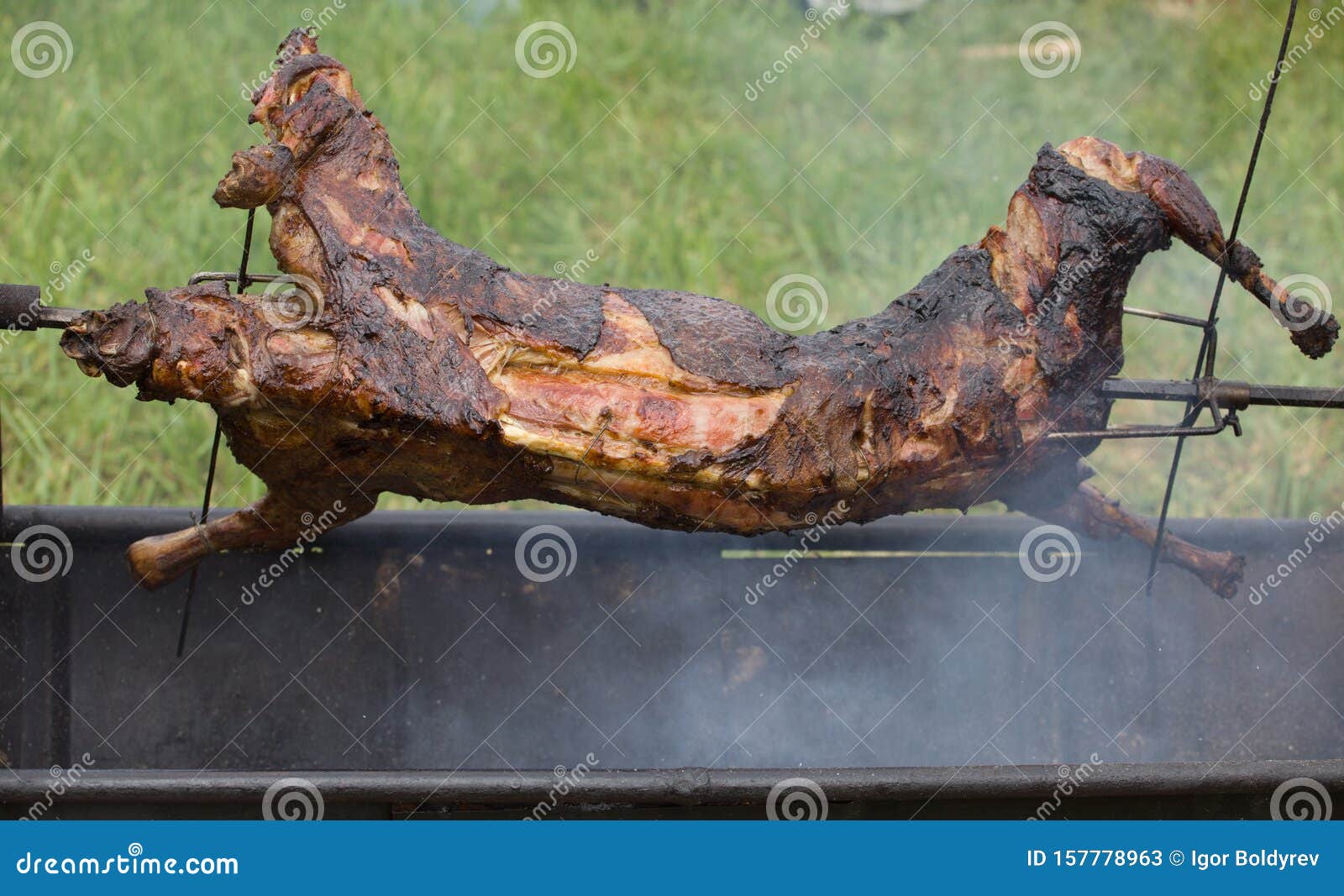 Carcass of a young sheep stock image. Image of greasy - 157778963