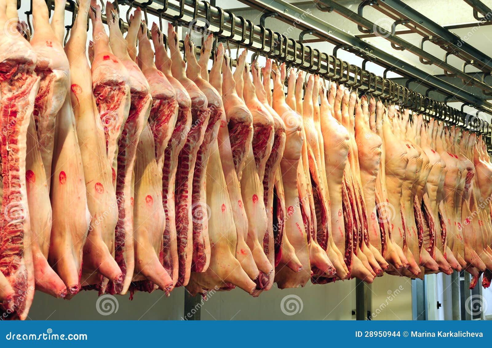 Carcasses de porc photo stock. Image du carcasses, nourriture - 28950944