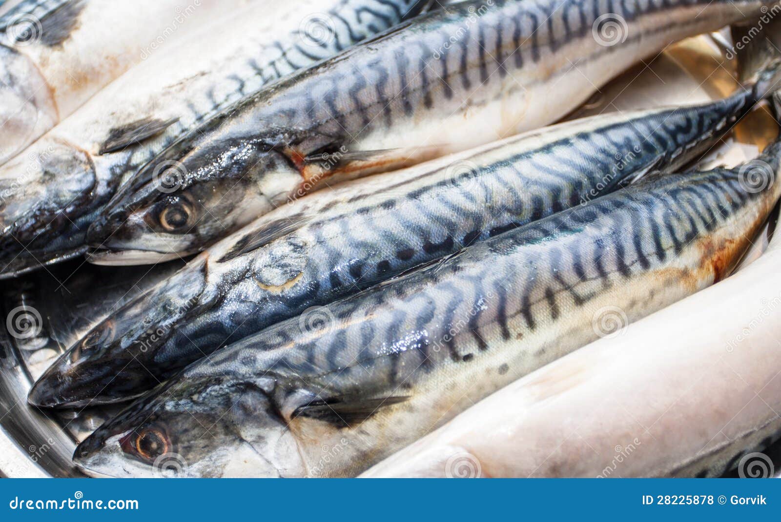 Carcasses Fresh Sea Fish - a Mackerel Stock Photo - Image of bake ...