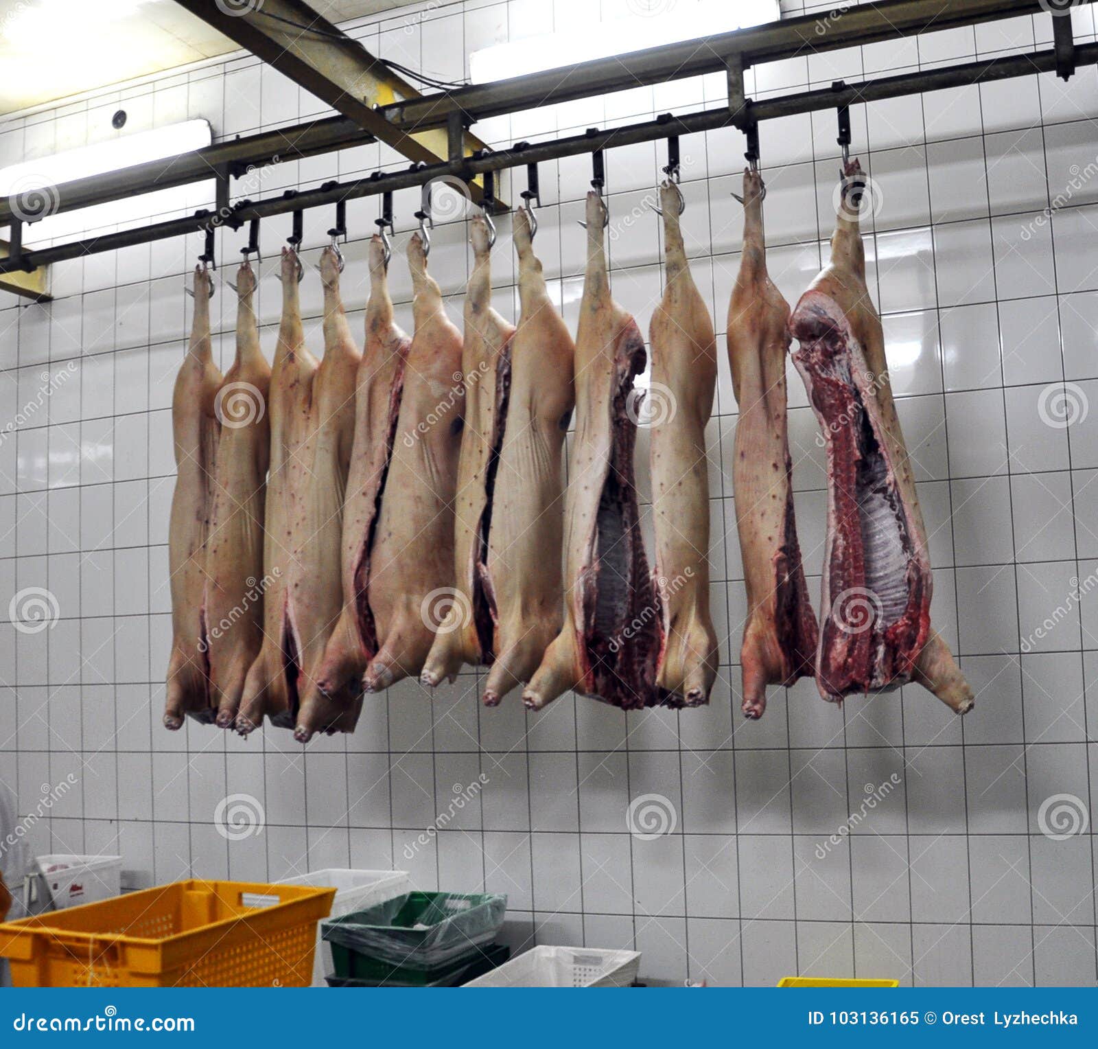 In the Shop for Processing Pig Meat Stock Image - Image of pigs, fridge ...