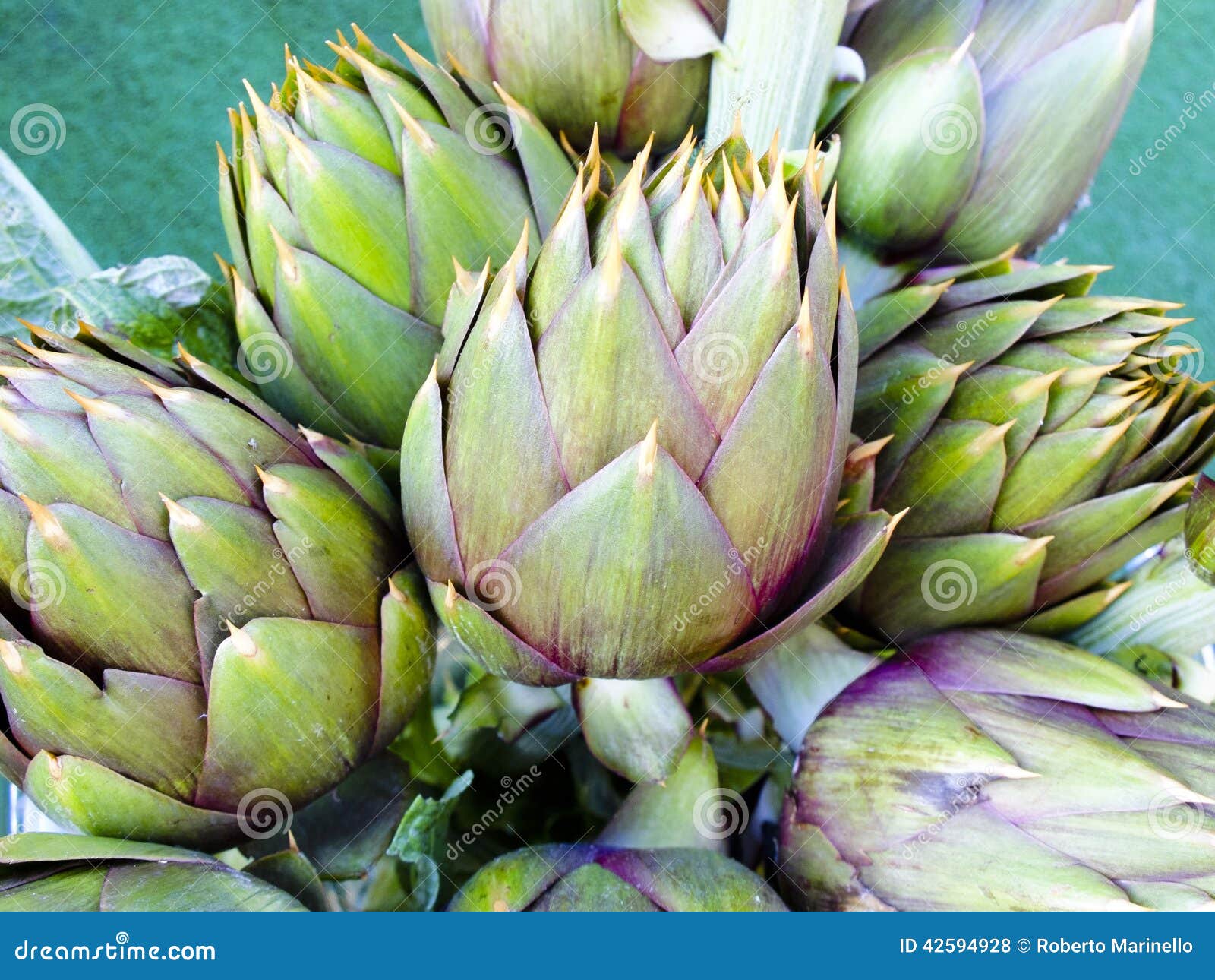Carciofi fotografia stock. Immagine di grezzo, carciofo - 42594928