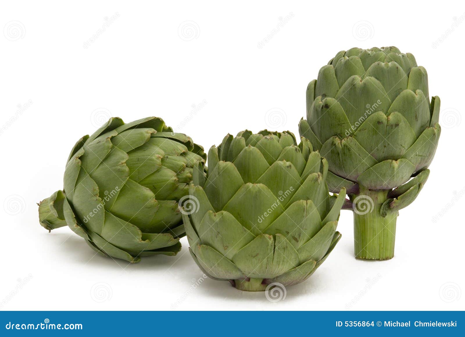 Carciofi fotografia stock. Immagine di carciofo, frutte - 5356864