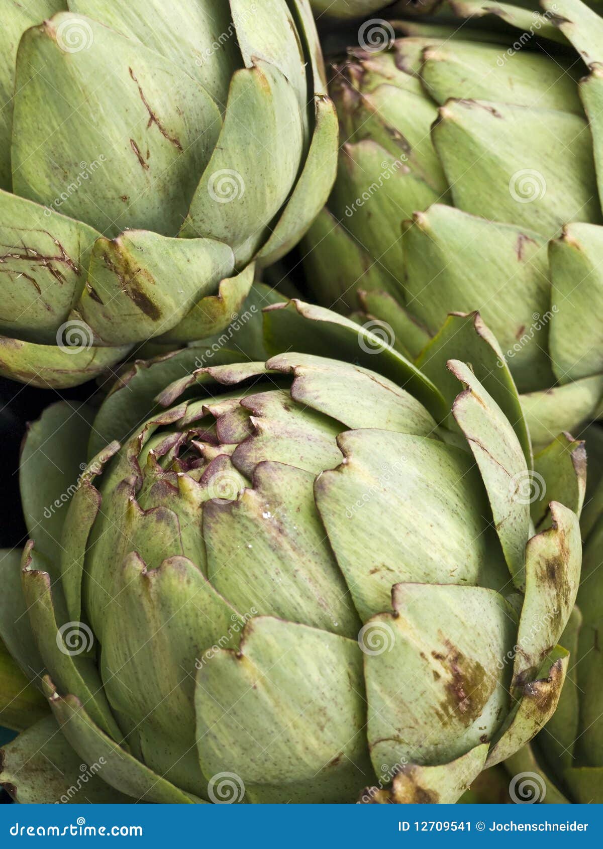 Carciofo immagine stock. Immagine di verdura, medicina - 12709541