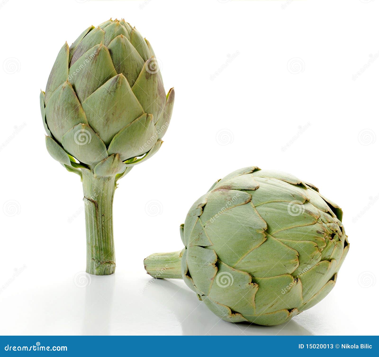 Carciofo immagine stock. Immagine di naughty, carciofo - 15020013