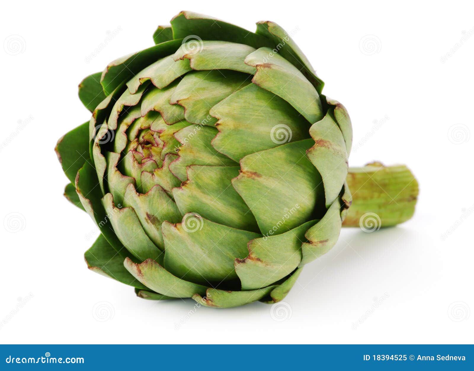 Carciofo immagine stock. Immagine di colore, buongustaio - 18394525