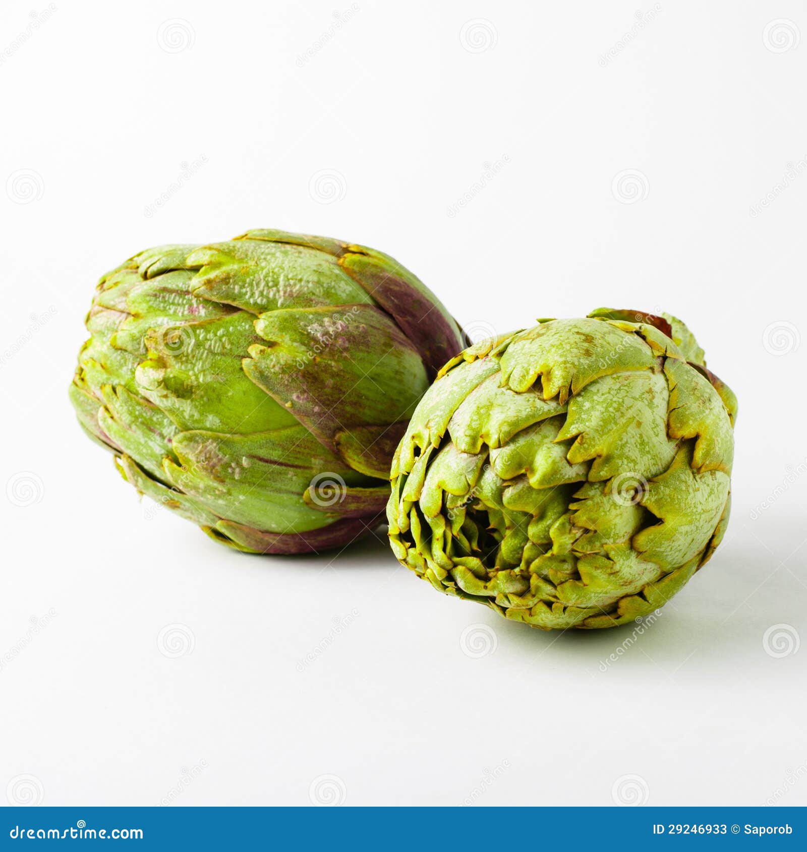 Carciofo immagine stock. Immagine di freschezza, pianta - 29246933