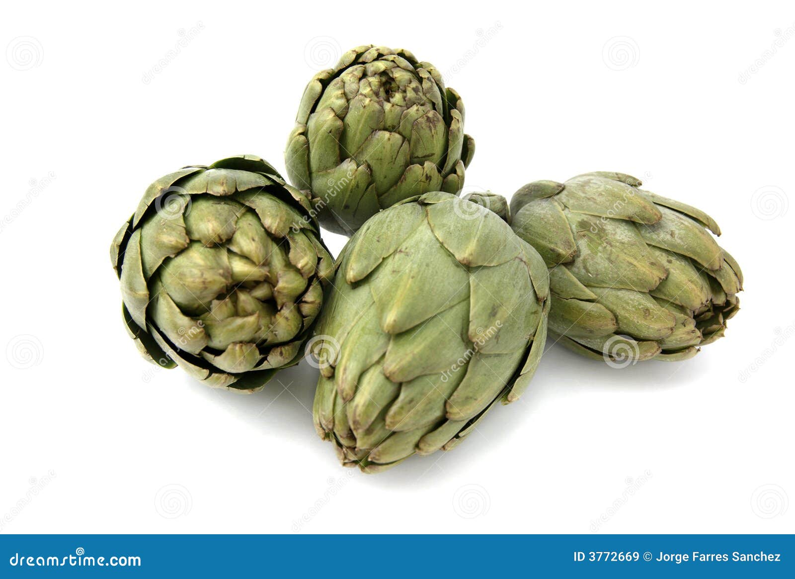 Carciofo immagine stock. Immagine di pianta, verde, ingrediente - 3772669