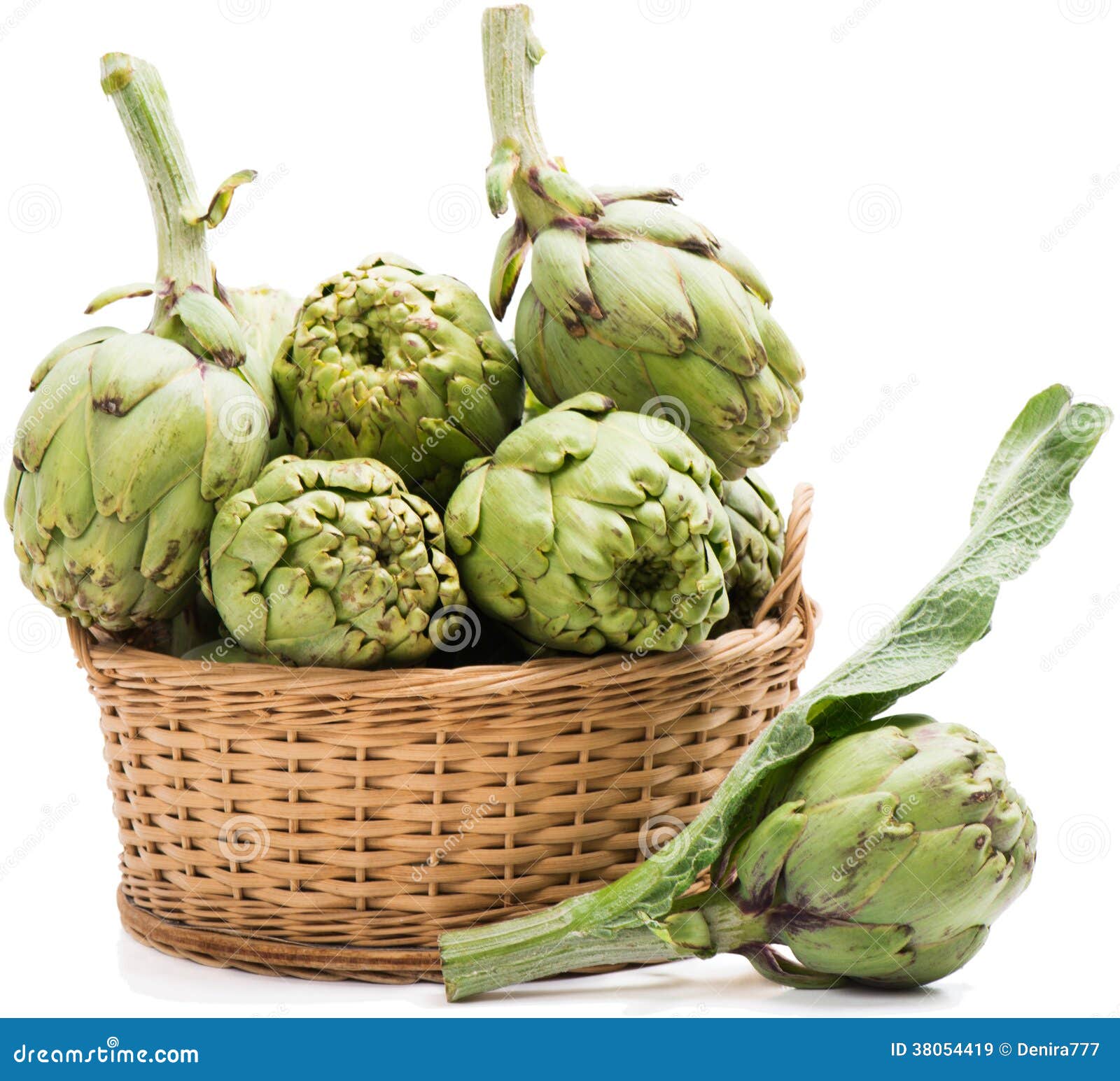Carciofo immagine stock. Immagine di nessuno, vimine - 38054419