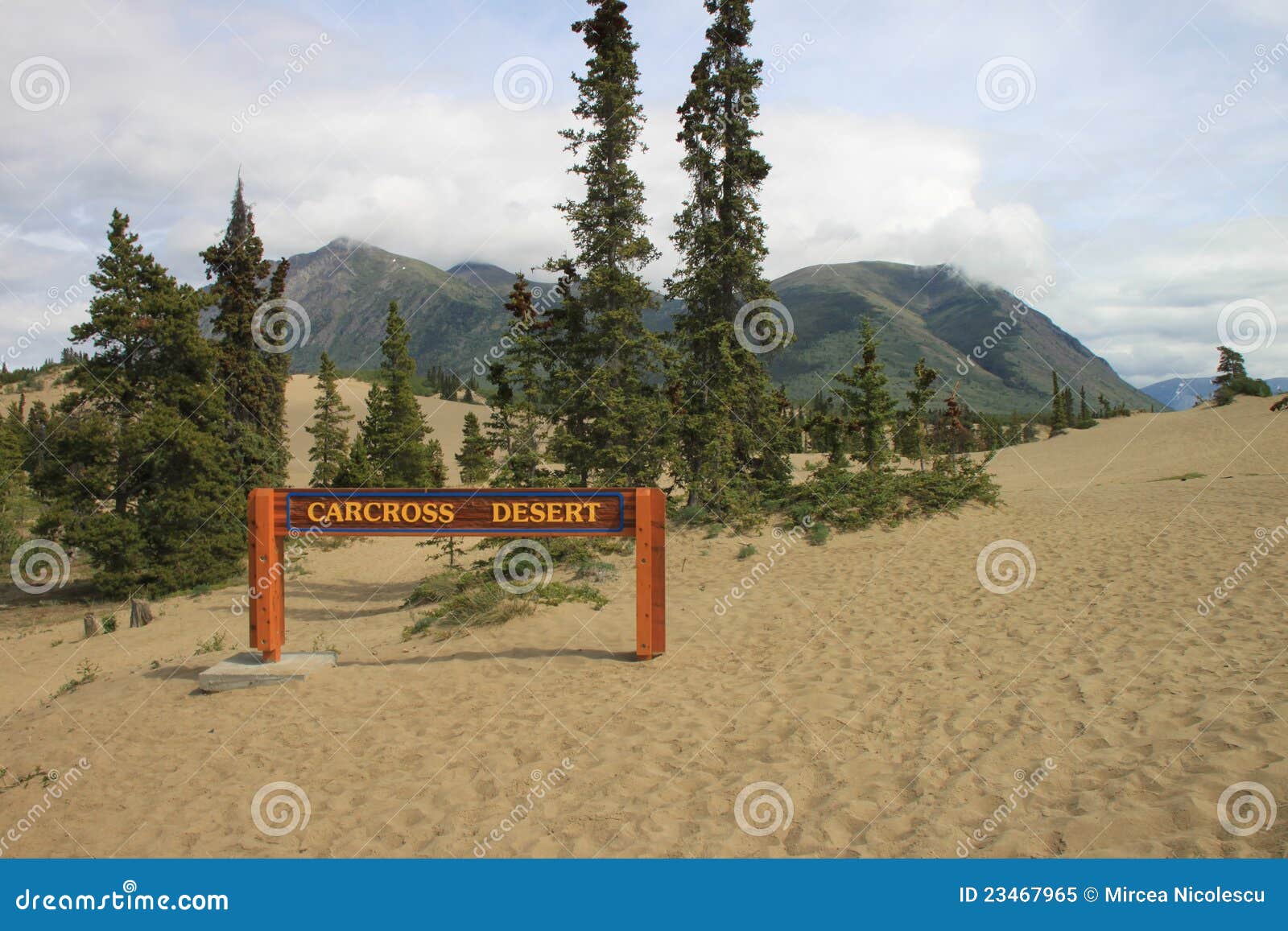 Carcross desert stock image. Image of dunes, contrast - 23467965